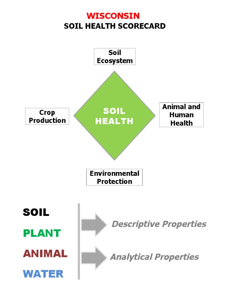 Wisconsin Soil Health Scorecard Guide | PDF