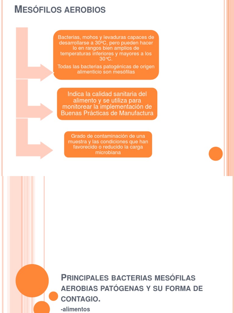 Mesófilos aerobios | Procariota | Compost