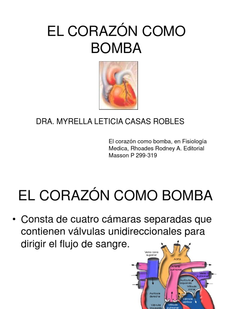 El Corazon Como Bomba | PDF | Ventrículo (corazón) | Corazón