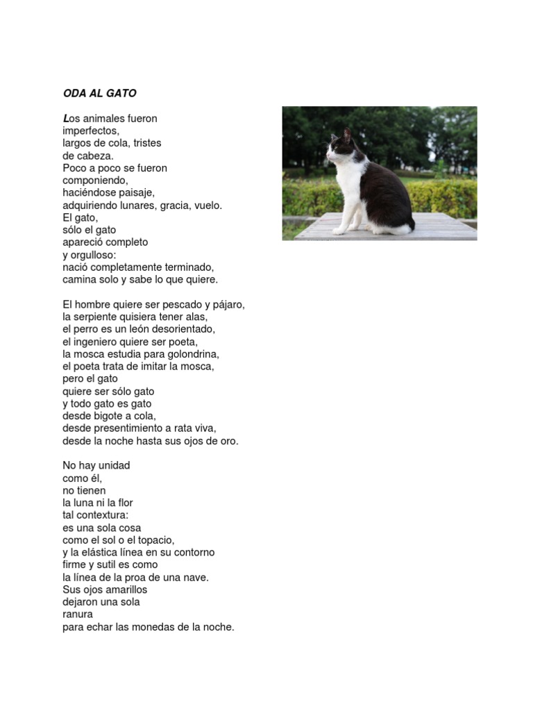 Oda Al Gato - Pablo Neruda | PDF | Gatos | Organismos