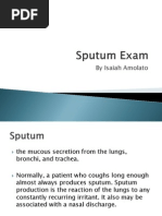 Sputum Characteristics: Normal vs Abnormal | PDF | Lung | Respiratory ...