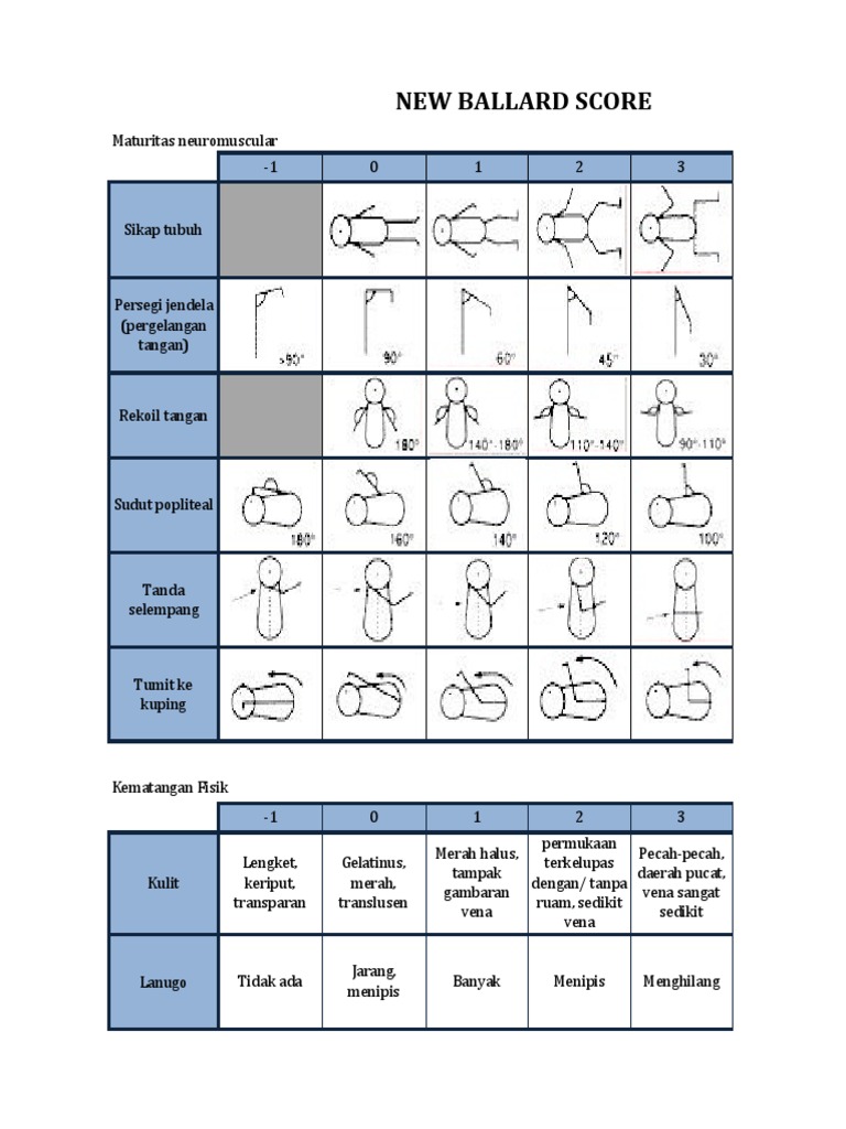 New Ballard Score | PDF