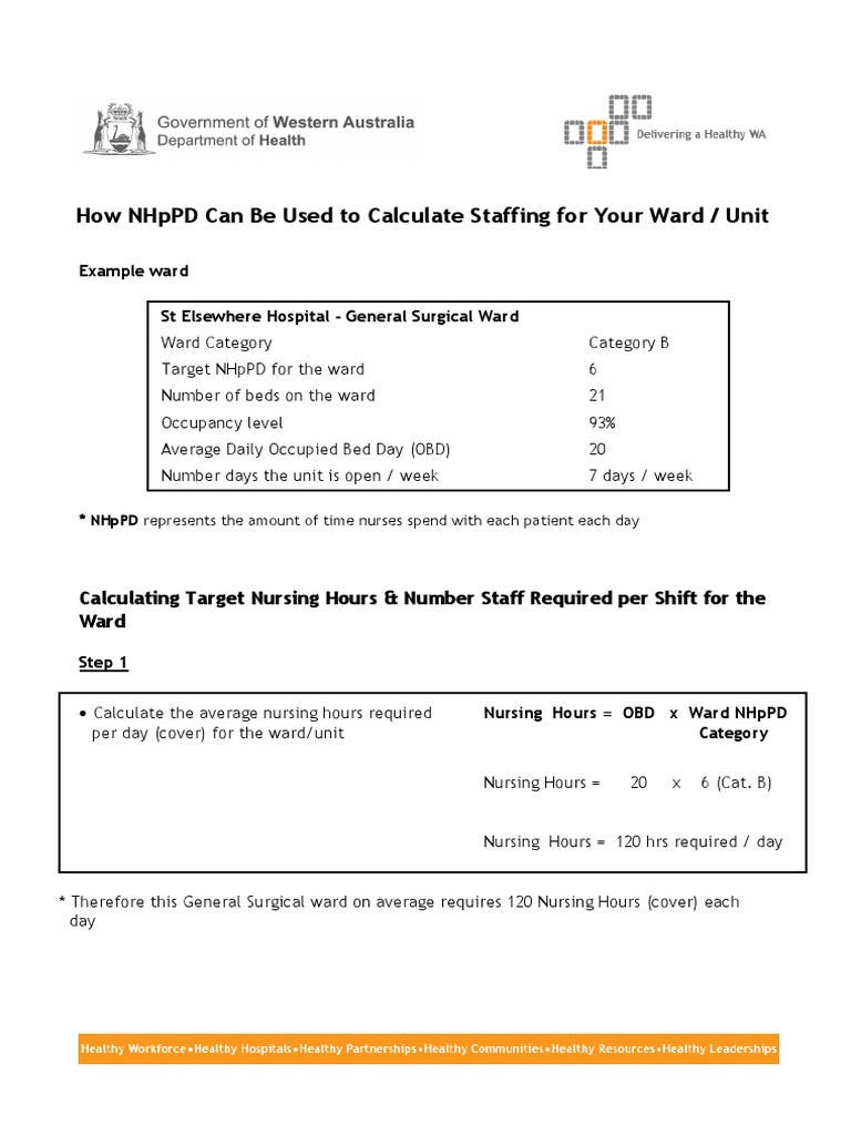 NHPPD Calculating Staffing | PDF | Public Services | Social Programs
