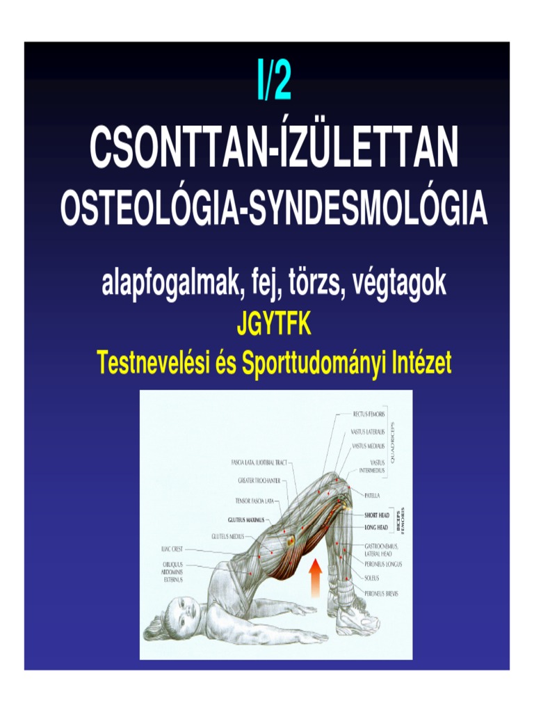 02 BSC Anatomia Csont Izulettan | PDF