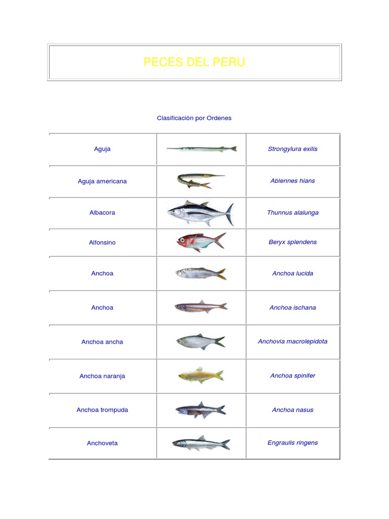 Peces del Mar Peruano: Especies y Nombres | PDF