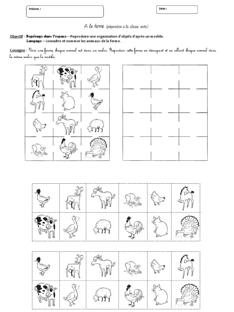 Activités sur les animaux de la ferme | PDF | Sciences et mathématiques