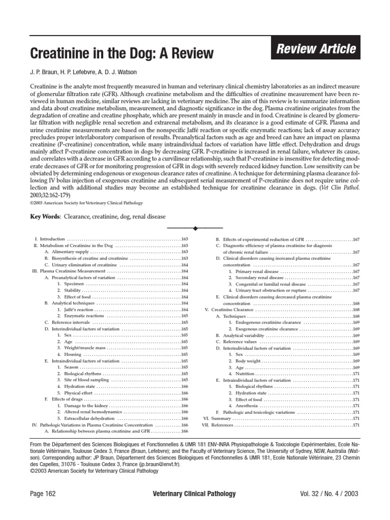Creatinine Dog | PDF | Creatinine | Renal Function