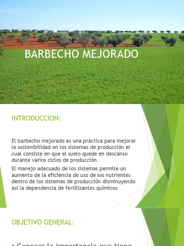 Barbecho Mejorado | PDF | Suelo | Agricultura