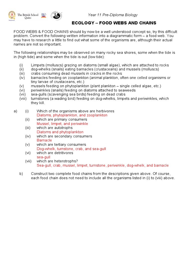 Ecology - Food Webs and Chains: Year 11 Pre-Diploma Biology | PDF