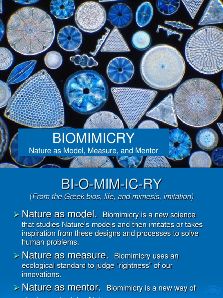 Biomimicry Presentation | Air Conditioning | Natural Environment
