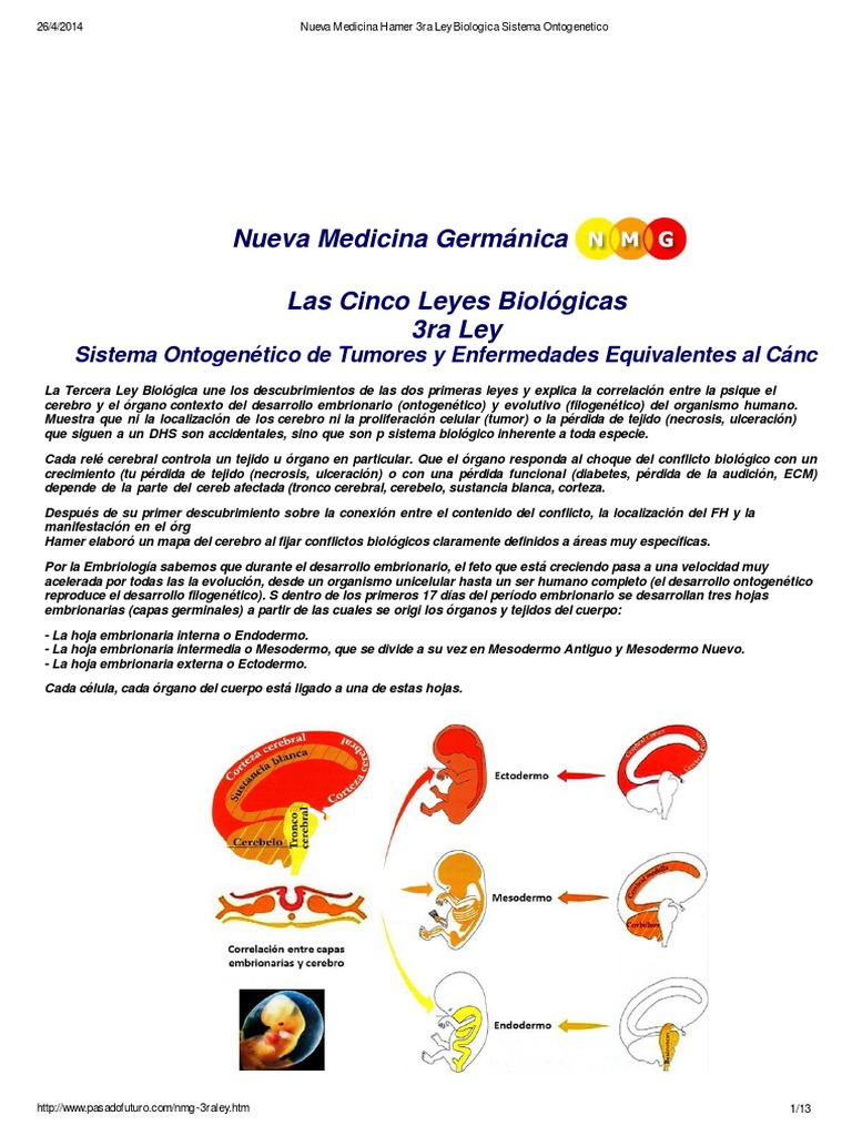Nueva Medicina Hamer 3ra Ley Biologica Sistema Ontogenetico Imp | PDF | Curación | Cerebro