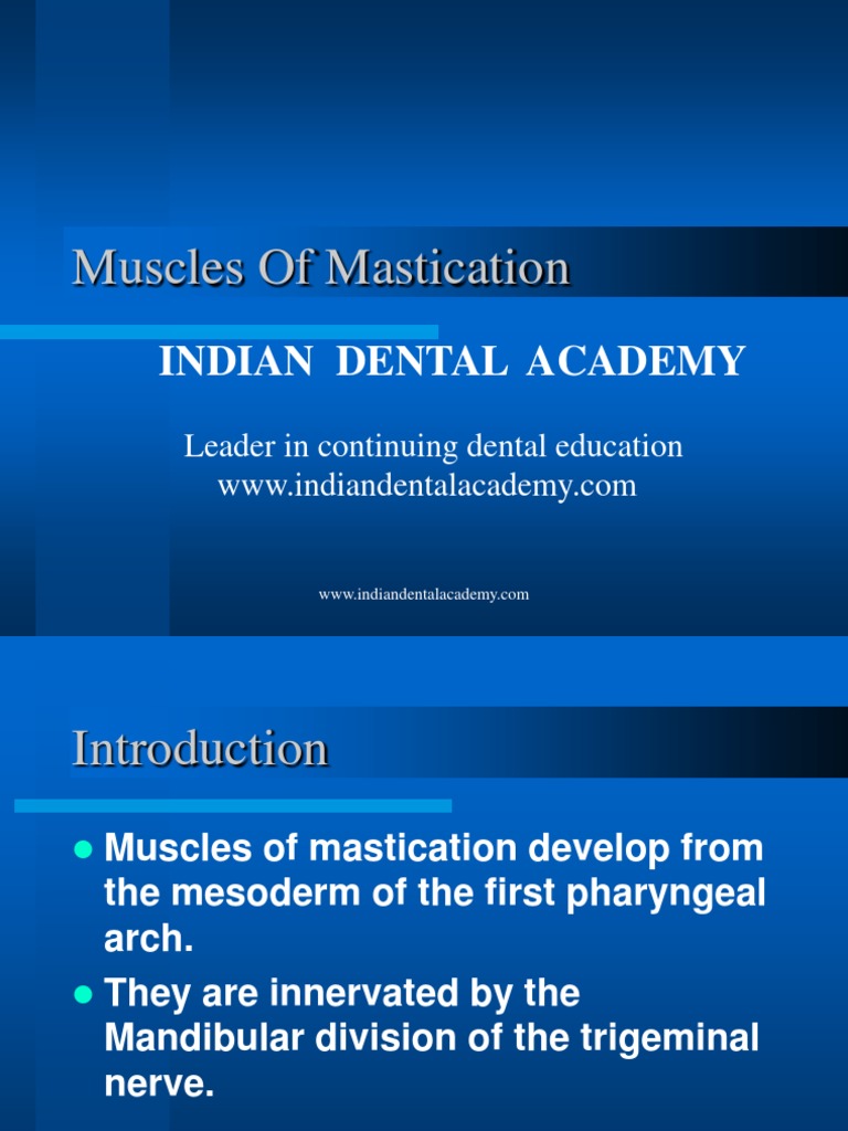 Overview of Mastication Muscles | PDF