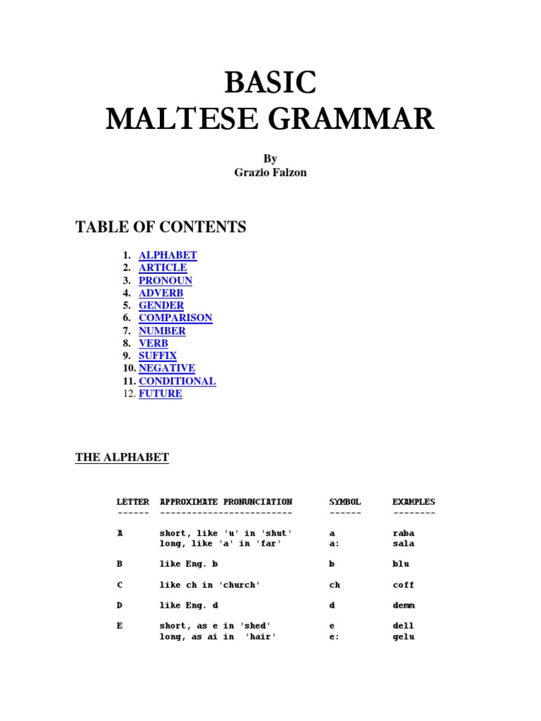 Basic Maltese Grammar | Plural | Verb