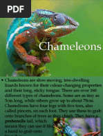 Labeled Diagram of Chameleon Parts | PDF