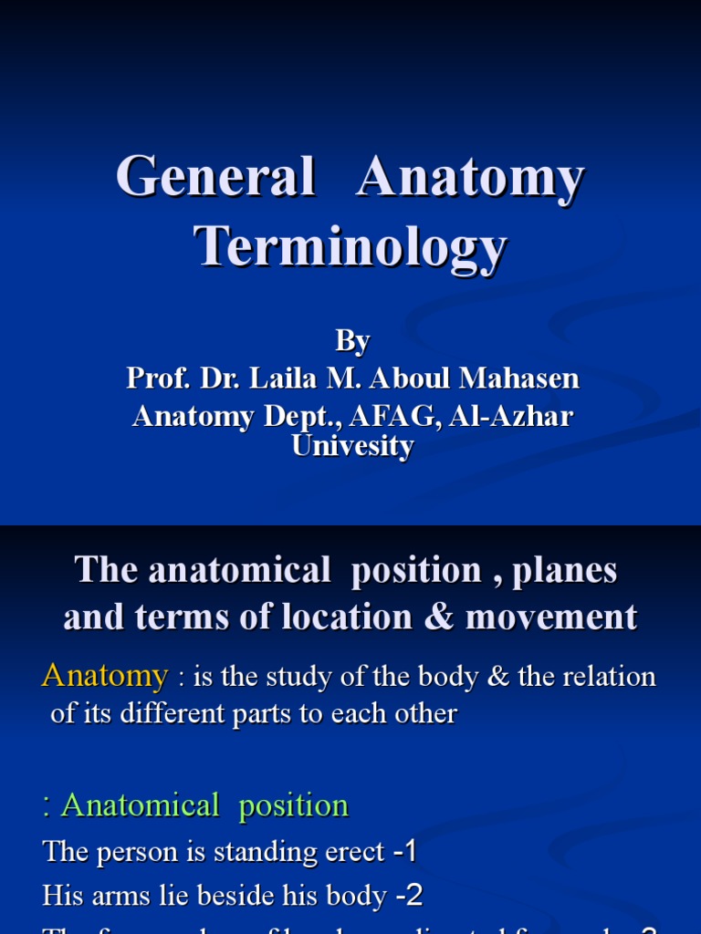 Anatomy Terminology and Positioning Guide | PDF | Wellness | Science ...