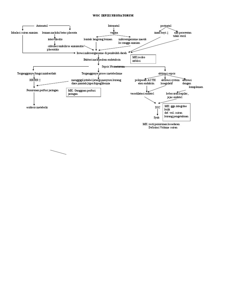 WOC Sepsis Neonatorum | PDF