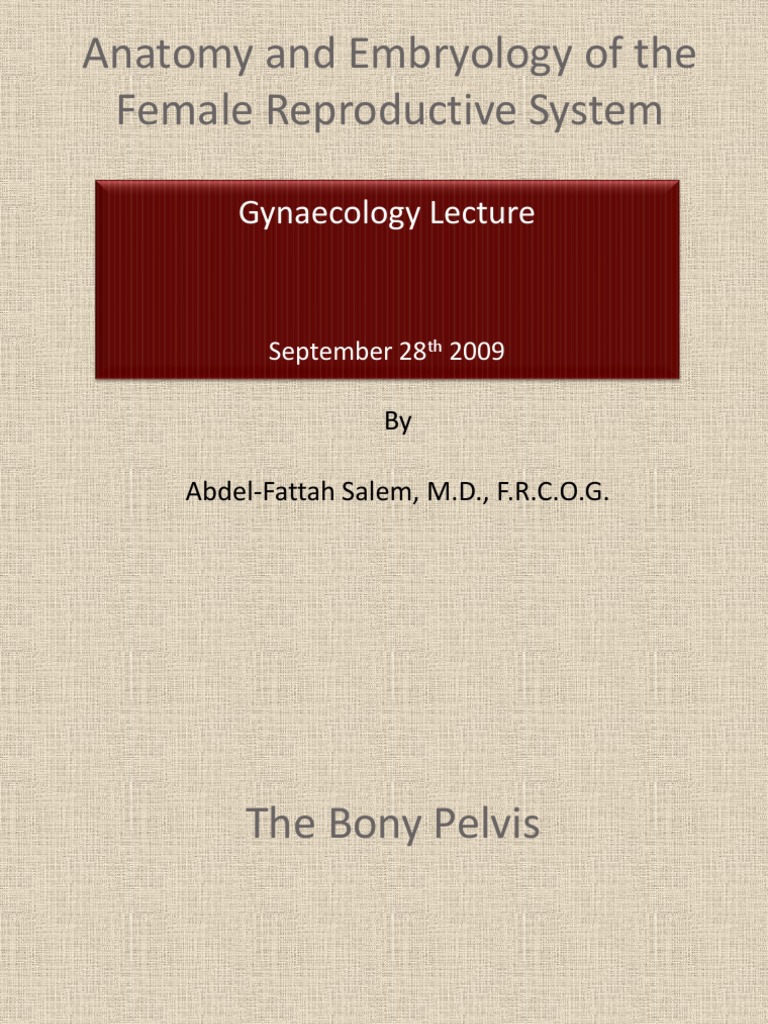 1-Obs&Gynae - Anatomy and Embryology of The Female Reproductive System ...