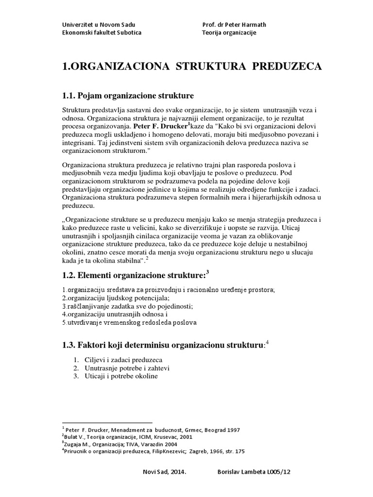 Organizaciona Struktura Preduzeca | PDF