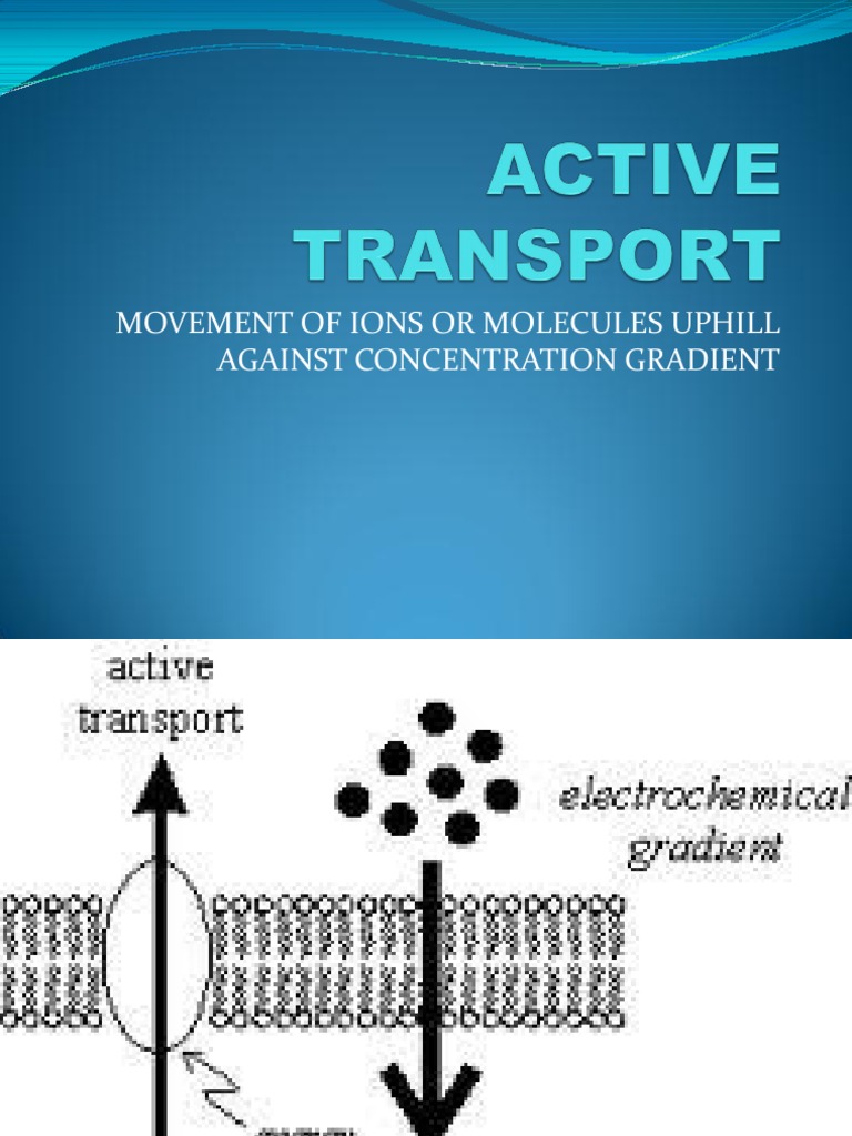 Movement of Ions or Molecules Uphill Against Concentration Gradient | PDF