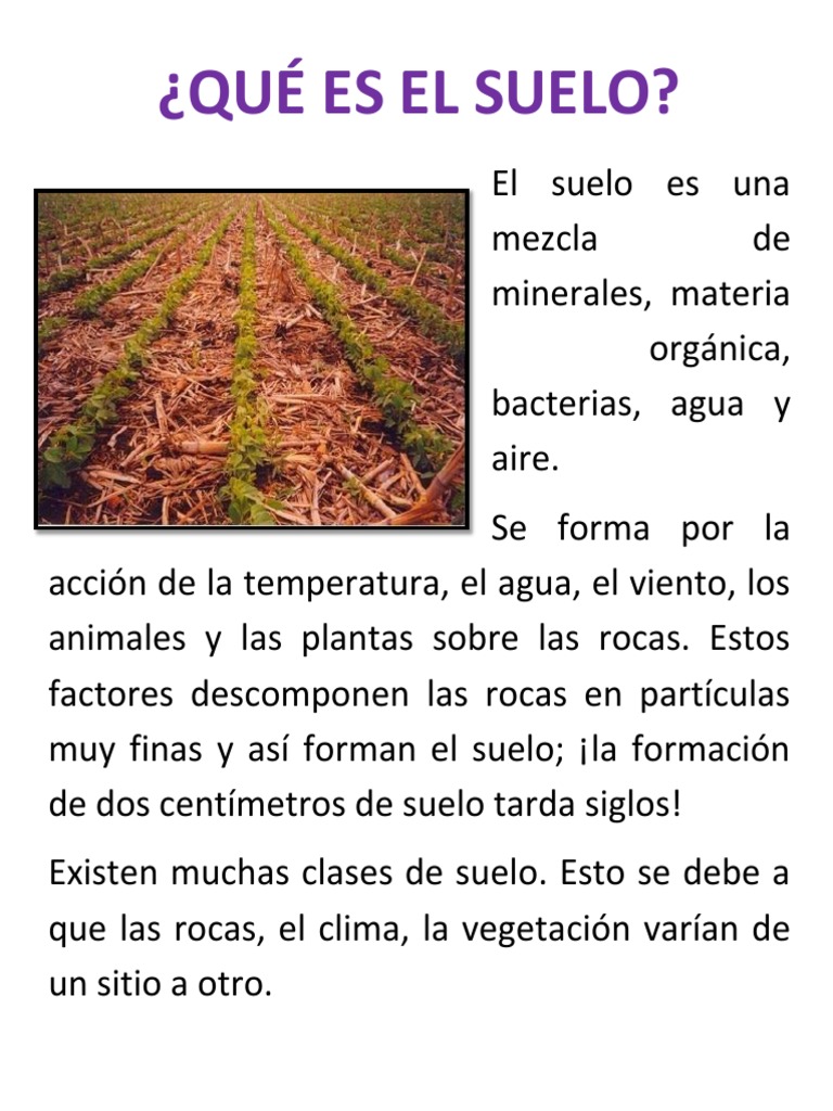 QUÉ ES EL SUELO | Suelo | Materiales naturales