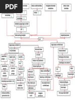 Tabel Dosis Pemberian Vascon | PDF