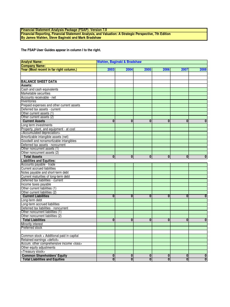 Fsap Template in English | PDF | Revenue | Equity (Finance)