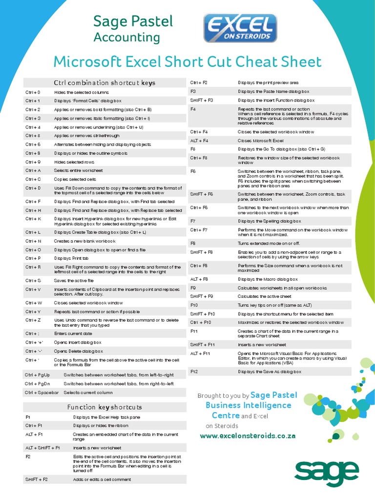 EXCEL Keyboard Cheatsheet | PDF | Control Key | Visual Basic For ...
