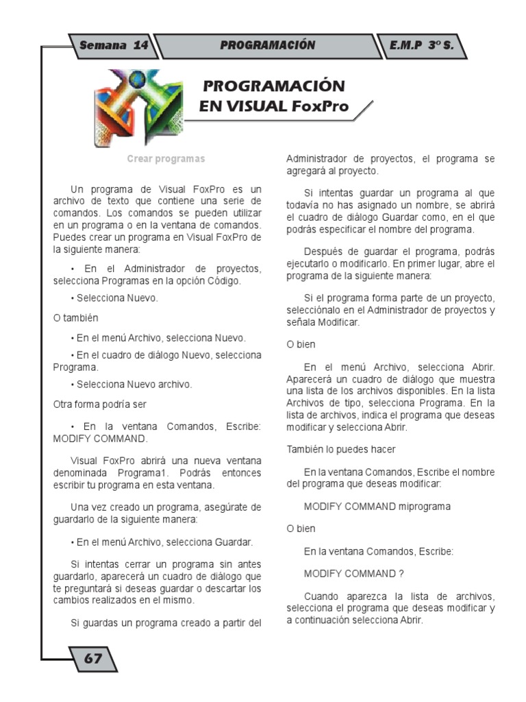 Visual Fox Pro | PDF
