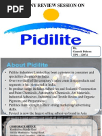 Pidilite Case Study | PDF | Brand | Adhesive