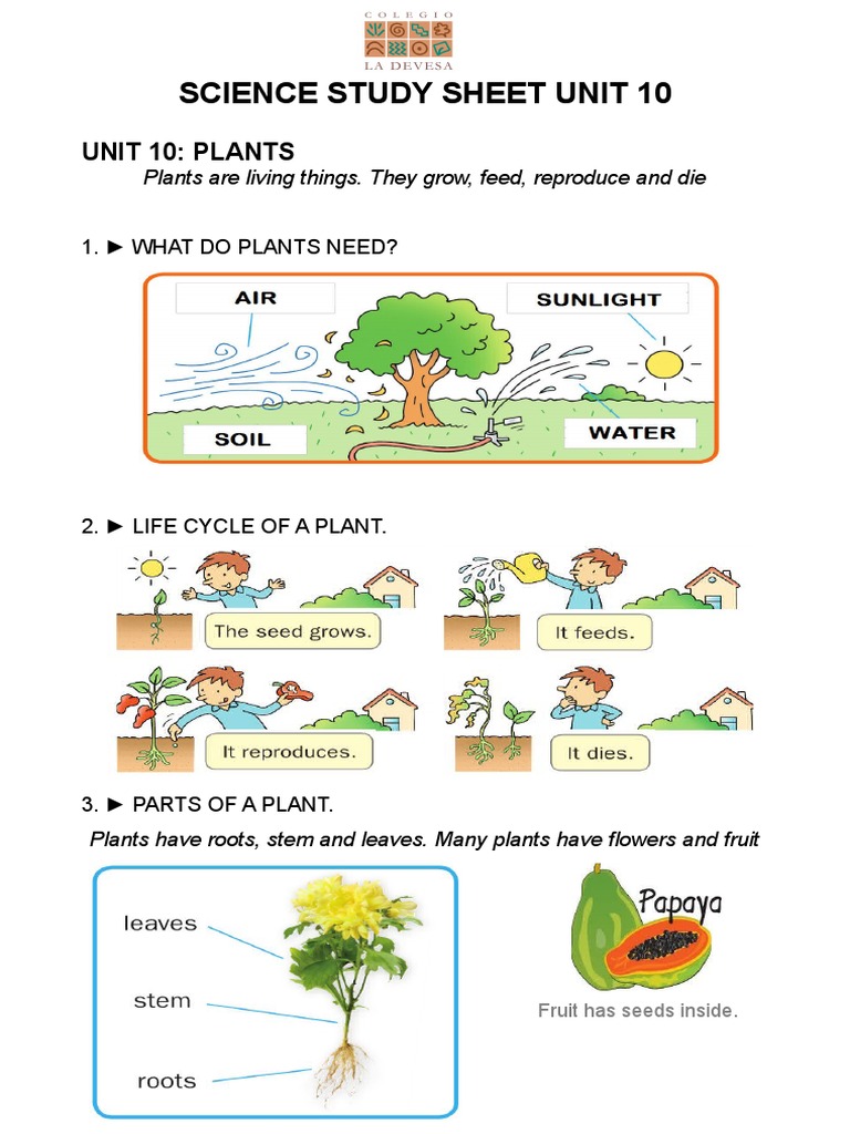 Science Study Sheet Unit 10 | PDF | Home & Garden
