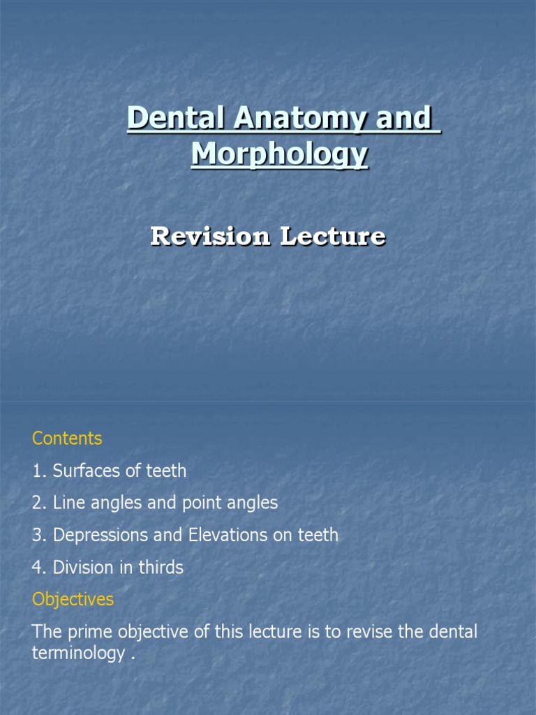 Dental Anatomy Lecture | PDF | Dental Anatomy | Facial Features