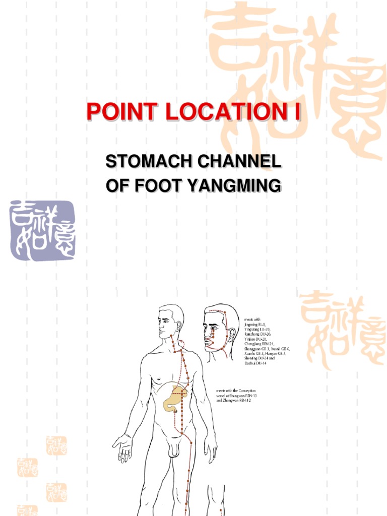 Class 3 - Foot Yangming Stomach Channel | PDF | Thorax | Abdomen