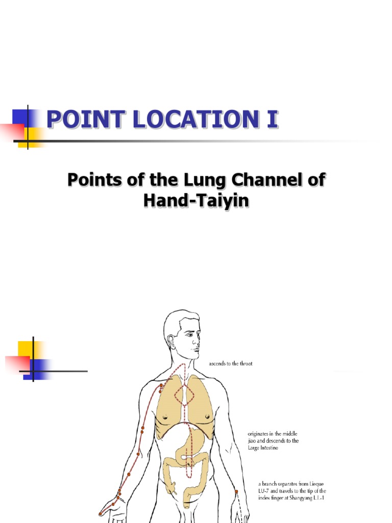 Class 2 - Hand Tai-Yin Lung Channel | Arm | Cough