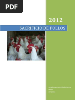 Proceso de Faenamiento Del Pollo | PDF | Aves | Medicina
