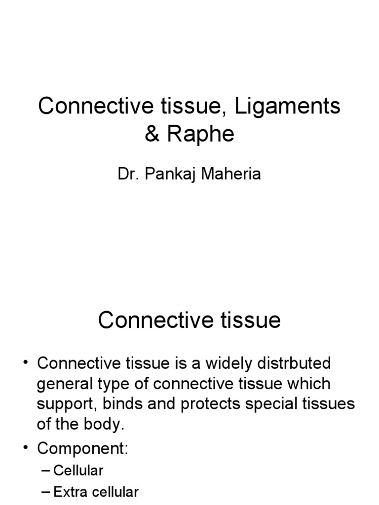 Connective Tissue and Ligament Overview | PDF | Connective Tissue ...