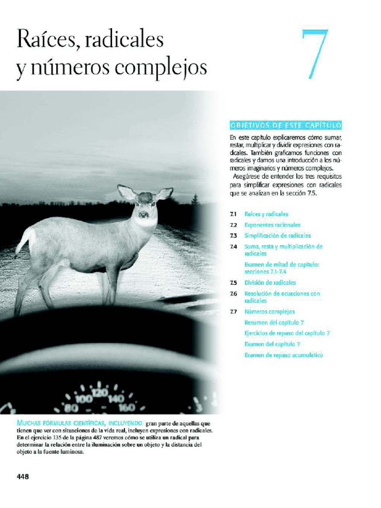 Algebra Angel Cap7 | PDF | Foreign Language Studies