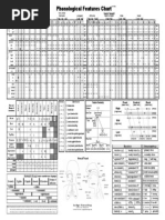 Blank IPA Chart | PDF | Human Voice | Phonetics