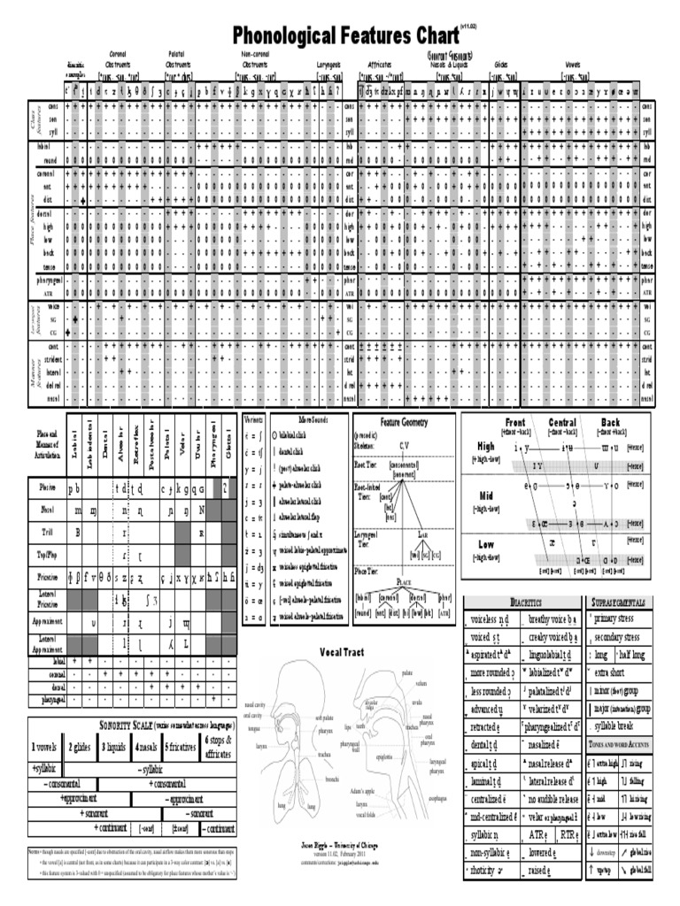Feature Chart | Larynx | Phonology