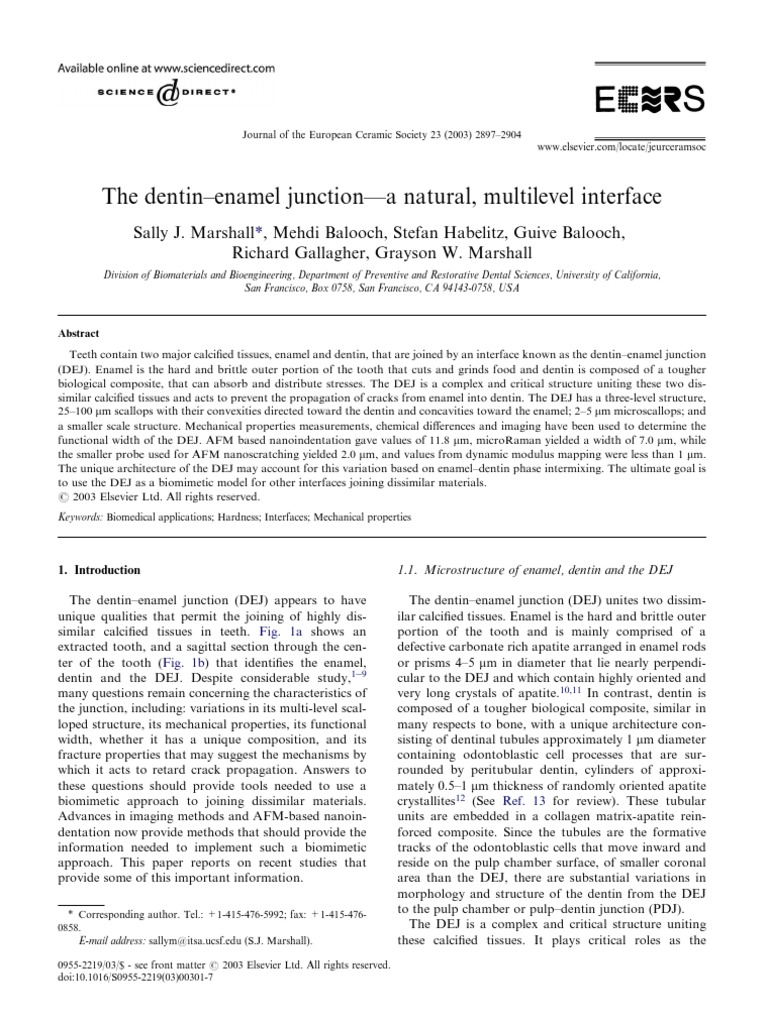 The Dentin-Enamel Junction-A Natural, Multilevel Interface | PDF ...