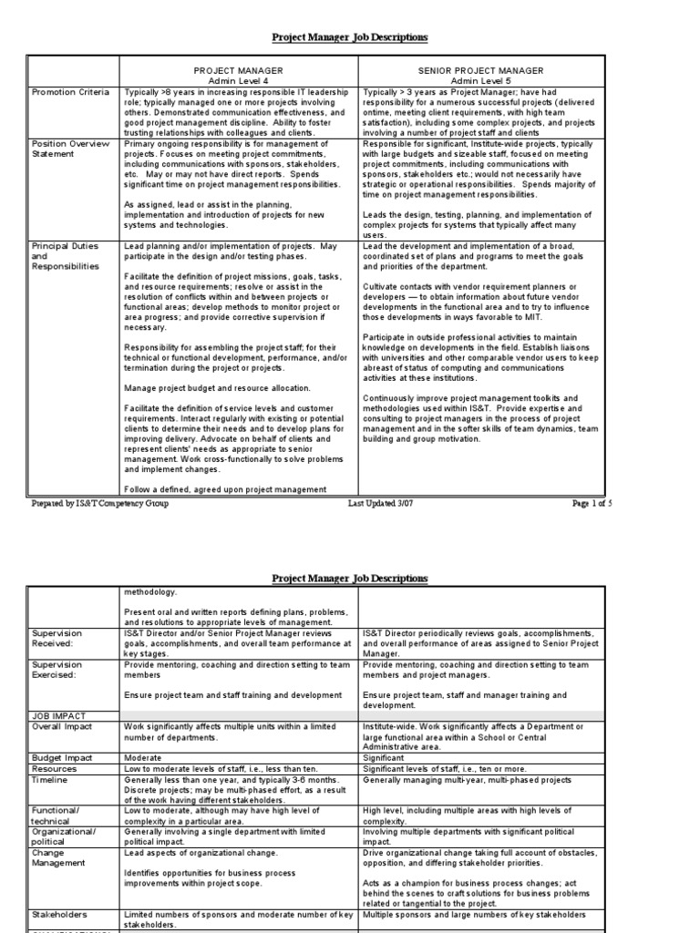 Project Manager | PDF