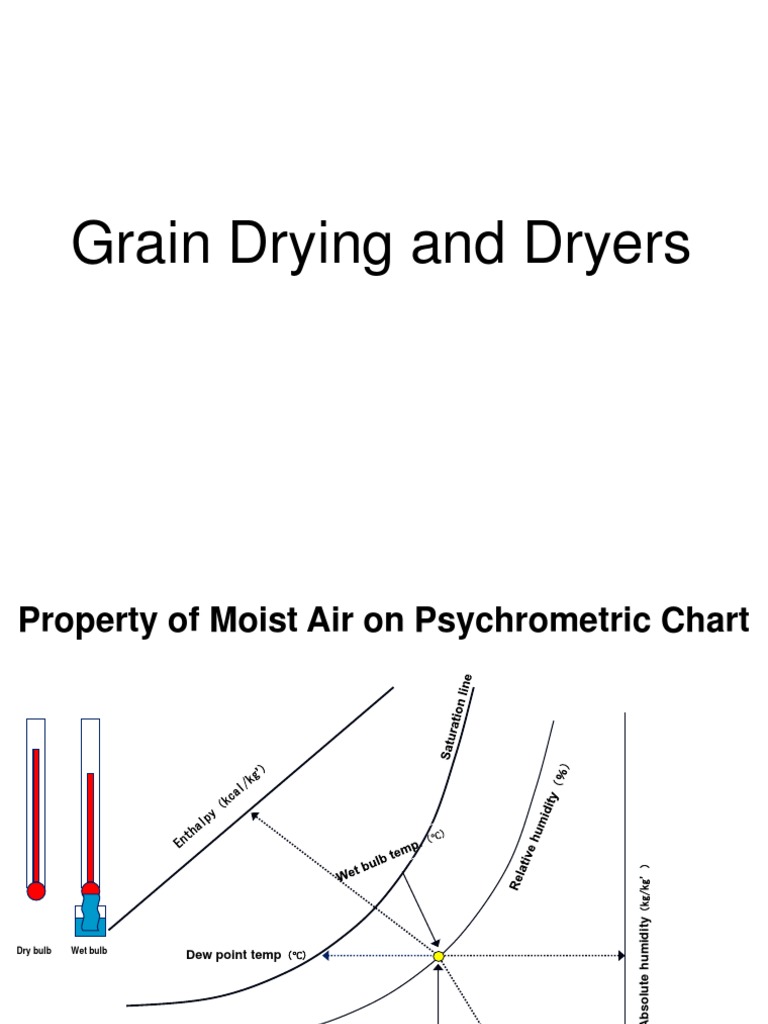 Grain Drying and Dryer | PDF | Engineering Thermodynamics | Mechanical ...