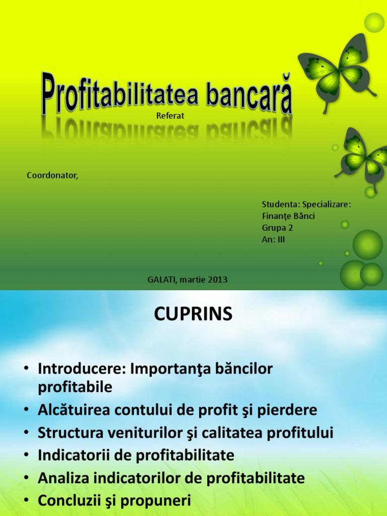 Profitabilitate | PDF