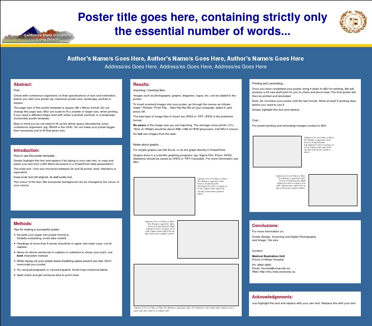 Conference Poster Presentation Guide | PDF | Times New Roman | Digital ...