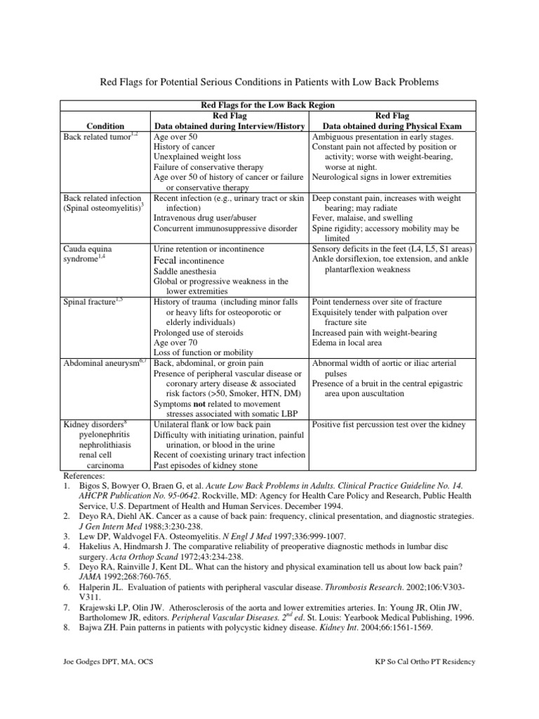 Physical Therapy Protocols For Conditions of The Low Back Region | PDF ...