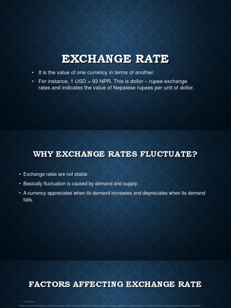 Understanding Exchange Rate Fluctuations | PDF