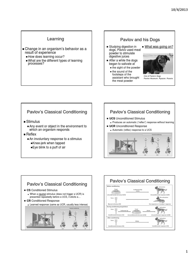 Learning Pavlov and His Dogs: Change in An Organism's Behavior As A ...