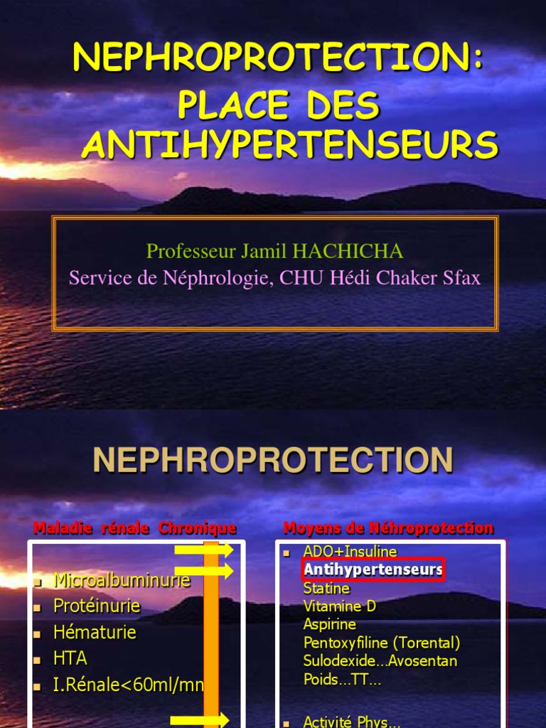 Nephroprotection Place Des Antihypertenseurs | PDF | Néphrologie ...