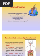 Diferença entre Quimo e Quilo | PDF | Digestão | Estômago