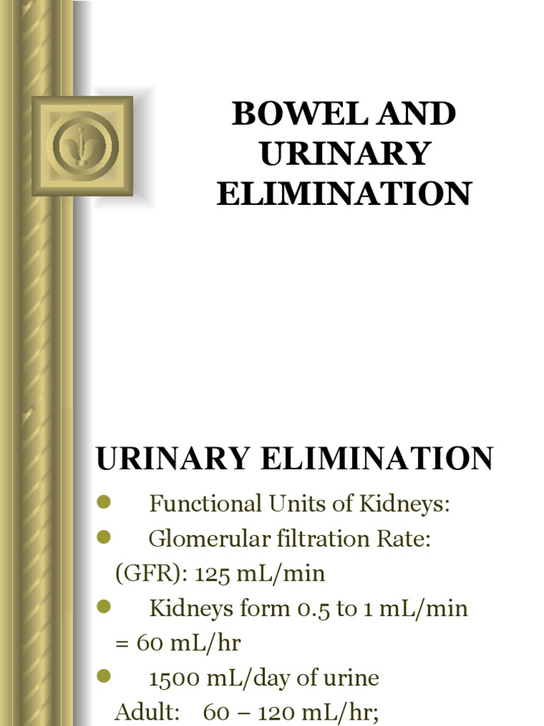 4 Urinary and Bowel Elimination | Urinary Incontinence | Flatulence
