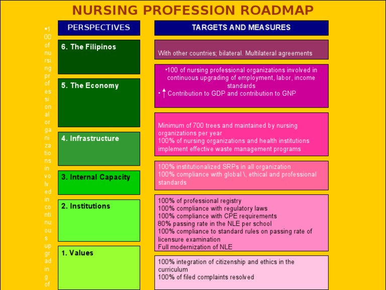 Nursing Profession Roadmap
